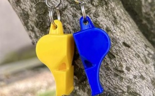 哨子图片大全_哨子种类有哪些