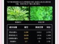 艾叶和艾草功效一样吗_区别与作用全解析