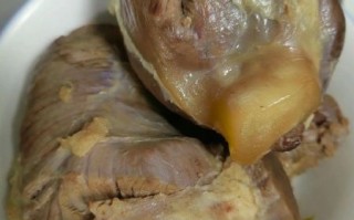 卤牛肉怎么做好吃_卤牛肉的配方和步骤窍门