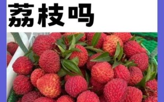 经期可以吃荔枝吗_月经期吃荔枝的禁忌