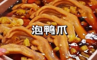 鸭脚怎么做好吃_鸭脚的家常做法