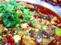 鲢鱼吃什么食物_鲢鱼最爱吃什么饵料