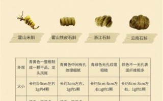 野生铁皮石斛图片大全_如何辨别真假