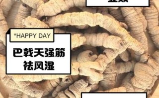 巴戟天最佳配伍是什么_巴戟天和什么搭配效果最好