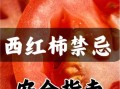 西红柿不能和什么一起吃_哪些人不能吃西红柿