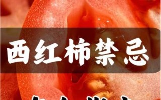 西红柿不能和什么一起吃_哪些人不能吃西红柿
