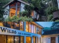莫干山旅游攻略_莫干山民宿哪家好