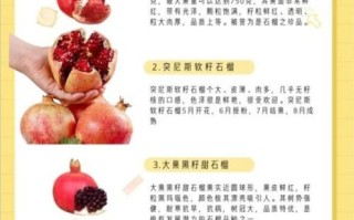石榴怎么吃最营养_石榴的功效与作用有哪些