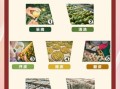 陈皮怎么制作_家庭自制陈皮步骤