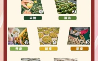 陈皮怎么制作_家庭自制陈皮步骤