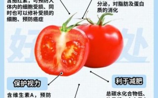 生吃番茄的危害_生吃番茄会中毒吗