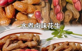 水煮花生怎么煮_水煮花生要煮多久