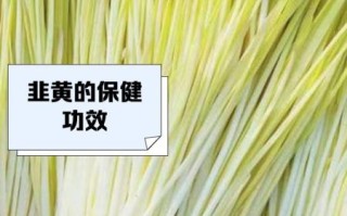 韭黄是什么_韭黄和韭菜的区别