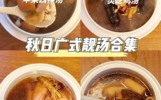 滋补炖盅炖汤食谱大全_什么汤最养人