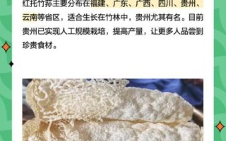 红托竹荪的功效与作用_红托竹荪怎么吃最好