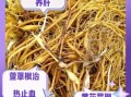 黄花菜根毒副作用_黄花菜根中毒怎么办