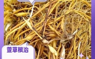 黄花菜根毒副作用_黄花菜根中毒怎么办