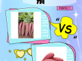 甘薯和红薯的区别是什么_甘薯和红薯哪个更甜