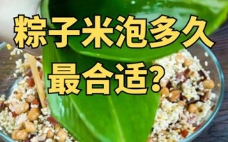 包粽子的米要泡多久最好_糯米泡多久不夹生