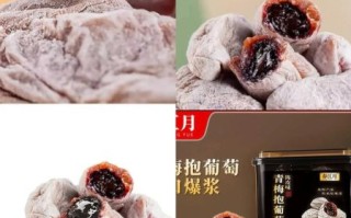 蜜饯果脯哪个品牌好吃_孕妇能吃蜜饯果脯吗