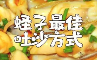 蛏子王怎么洗_蛏子王清洗泥沙最快的方法