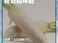 生吃白萝卜的功效与作用_生吃白萝卜的禁忌有哪些