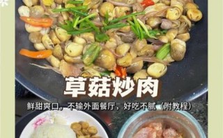 草菇炒肉末怎么做_草菇炒肉末的家常做法