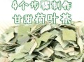 荷叶茶怎么泡_荷叶茶制作方法