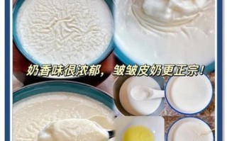 顺德双皮奶怎么做_顺德双皮奶正宗配方