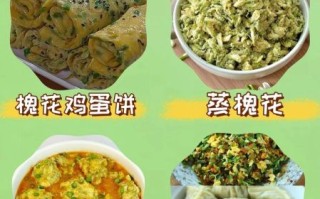 槐树花怎么吃_槐树花做法大全