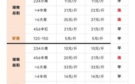 龙虾多少钱一斤现在市场价_2024最新行情