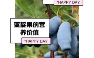 蓝靛果的功效与作用_蓝靛果怎么吃效果最好