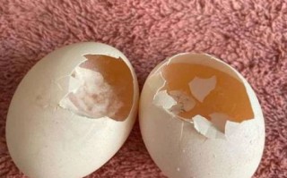 人造鸡蛋多少钱一斤_人造鸡蛋和真鸡蛋价格差多少