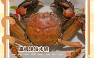 螃蟹怎么洗干净_活蟹清洗步骤