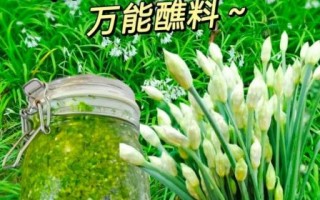 韭菜花酱怎么保存_自制韭菜花酱的做法