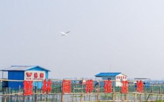 2021大闸蟹什么时候上市_正宗阳澄湖开捕时间