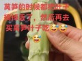 油麦菜和莴笋的区别_哪个营养价值更高
