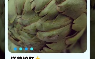 洋蓟草本茶的功效与作用_适合什么人喝