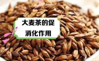 孕妇可以喝大麦茶吗_大麦茶对胎儿有影响吗