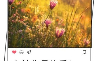 高情商祝自己生日快乐_如何优雅又不尴尬
