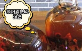 锁阳怎么吃最好_锁阳泡酒配方比例