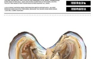 河蚌有寄生虫吗_河蚌怎么清洗才安全