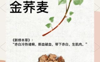 金荞麦片治好了我的肺结节_真的假的