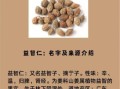 益智仁最佳配伍有哪些_益智仁和什么搭配效果最好
