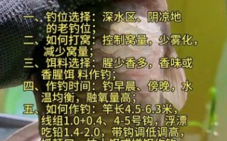 钓鱼新手如何选钓点_野钓鲫鱼技巧大全 钓鱼新手如何选钓点_野钓鲫鱼技巧大全