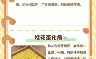 桂花茶的功效与作用_桂花茶怎么喝最养生