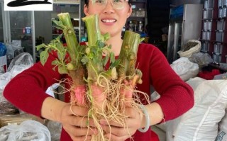 野苋菜根煲瘦肉有什么功效_野苋菜根瘦肉汤适合什么人喝