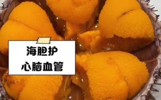 海胆什么人不能吃_海胆禁忌人群