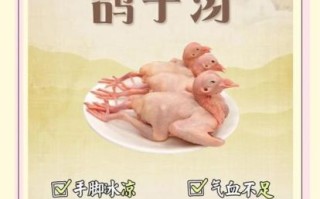 乳鸽汤怎么炖最营养_乳鸽汤用什么材料最补
