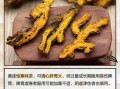 黄连的作用与功效_黄连能治疗哪些疾病